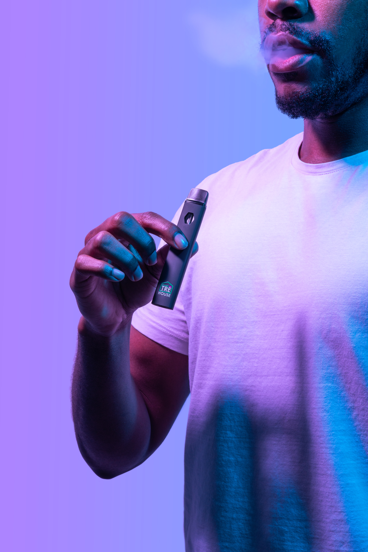 Tre House HHC High Potency Disposable Vape Pens | 2 Grams – Big D CBD